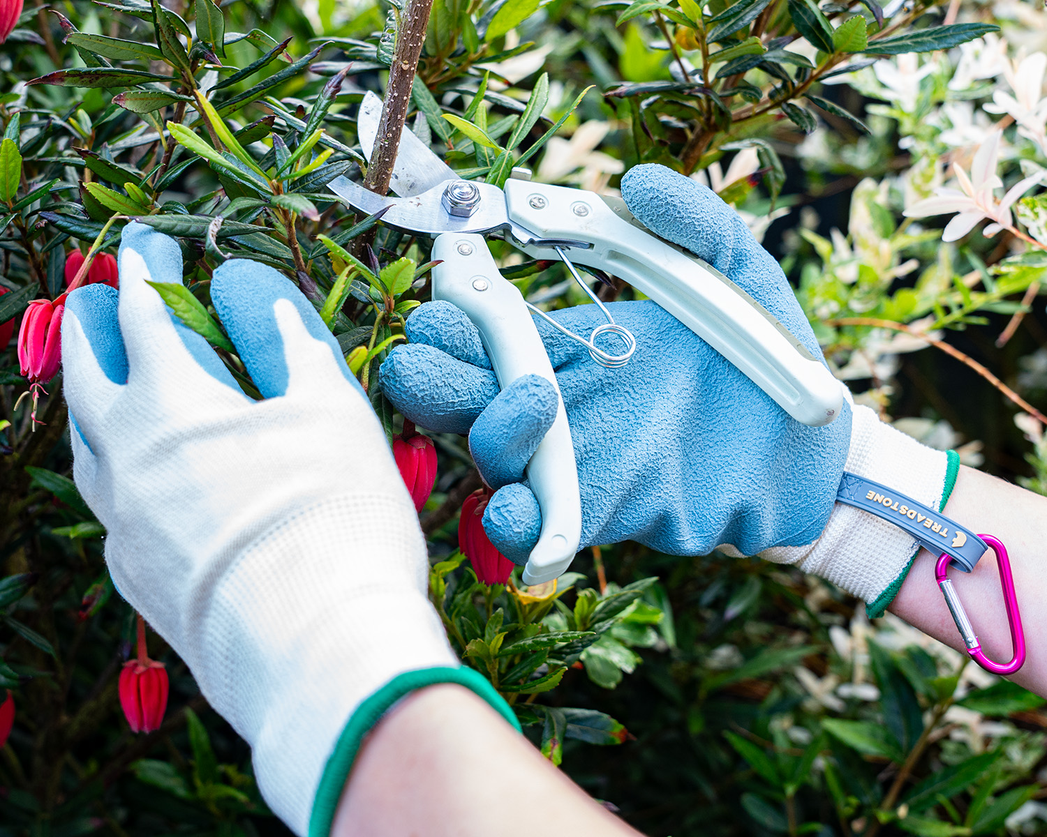 CLIPGLOVE LAUNCH GARDENERS WORLD BEST BUY GLOVES MERCHANDISER ...