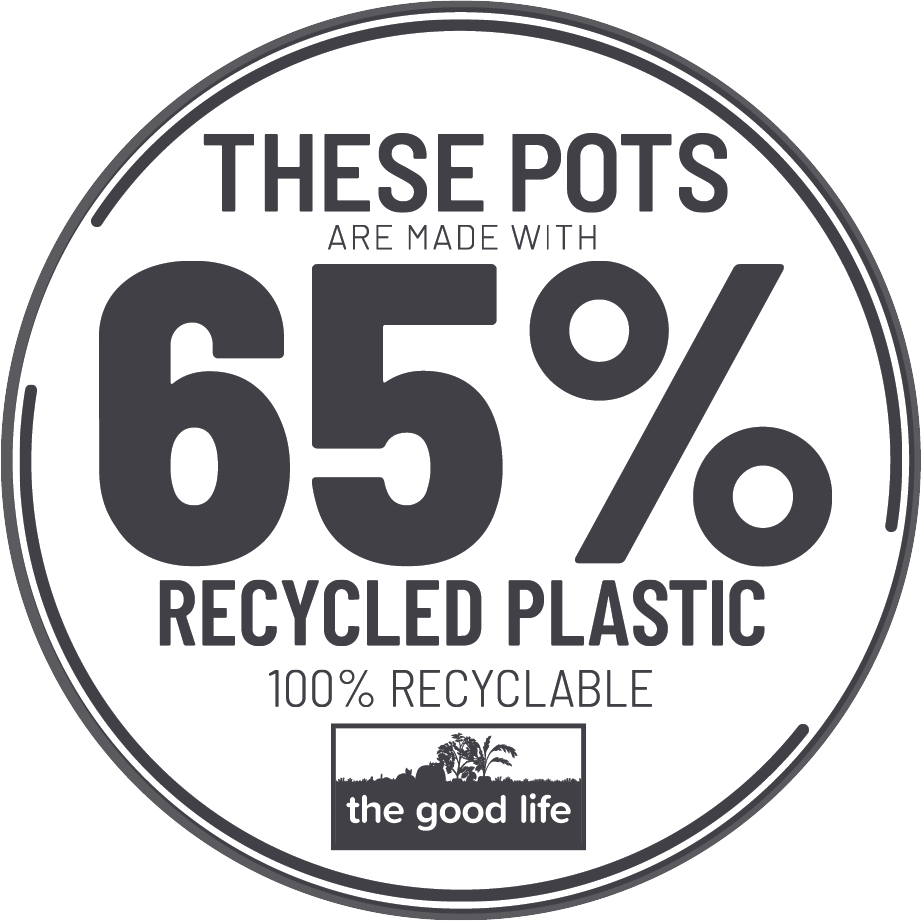 MOOD POTS NATURA - Treadstone Products