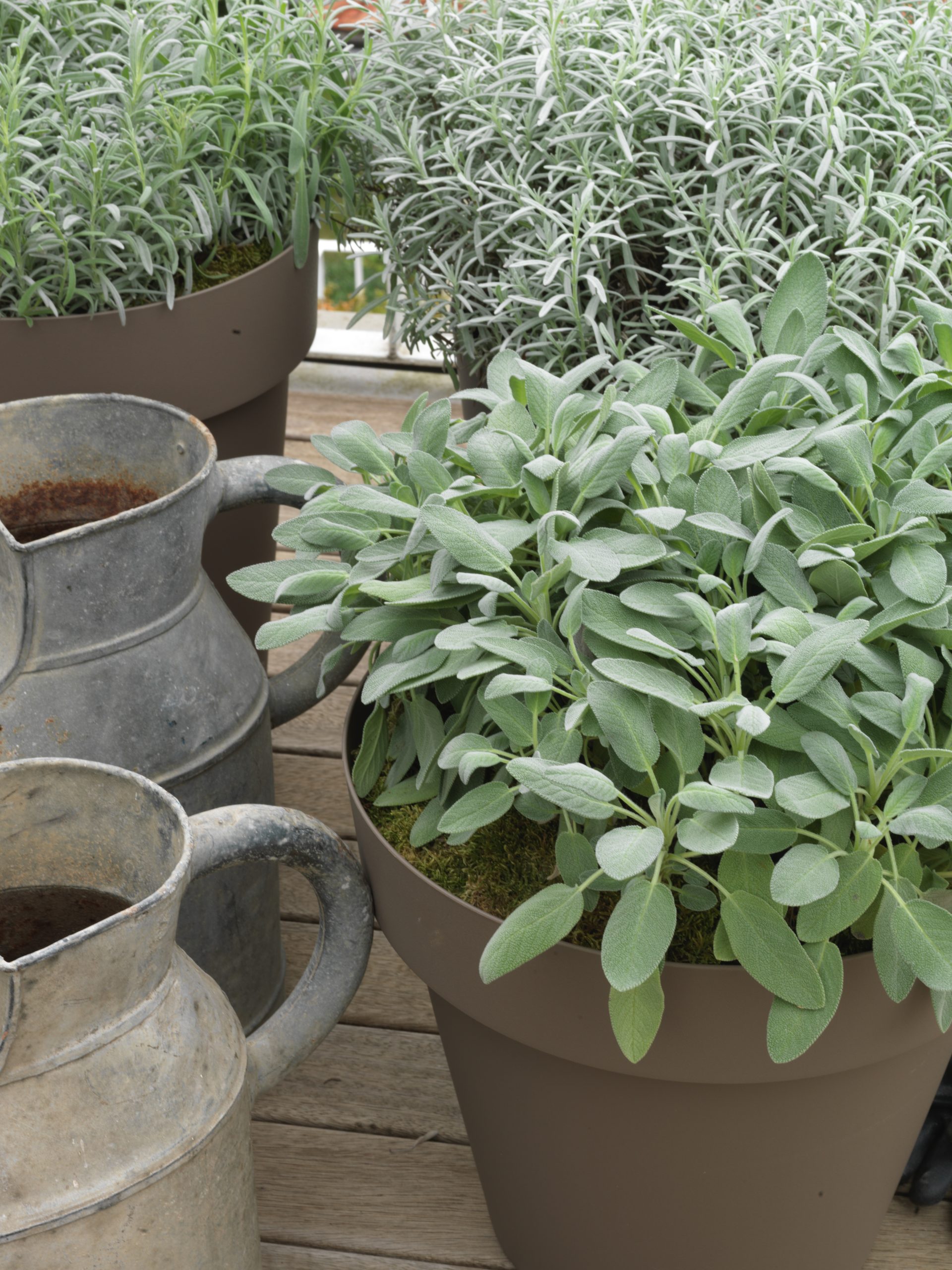 CONTEMPORARY ROUND POT - Treadstone Products